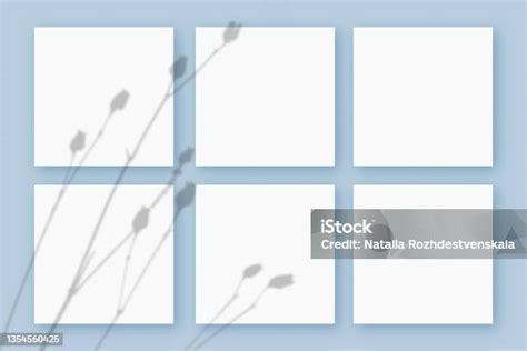 자연광은 푸른 질감의 배경에 누워 있는 6평방피트의 백서에 식물의 그림자를 투사합니다 모형 0명에 대한 스톡 벡터 아트 및 기타