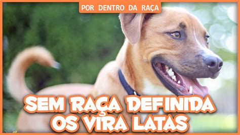 Sindrome De Vira Lata Significado Librain