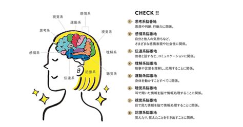 写真 2枚目 歩くことで起こるいいこととは？ 散歩のメリット6つを紹介 Locari（ロカリ）
