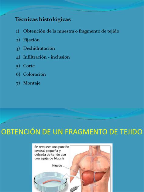 Pasos De La Técnica Histológica Pdf