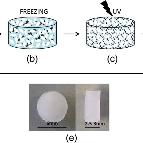Schematic Representation Of Cryogel Synthesis A Aqueous Polymer