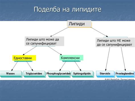 ЛИПИДИ (Масти и масла). - ppt download