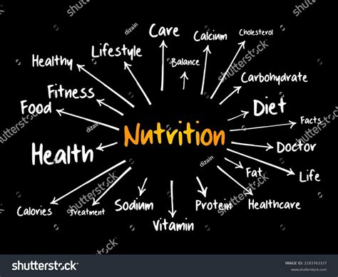 Nutrition Mind Map Health Concept Presentations Stock Vector Royalty