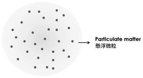 pm2 5 open data portal