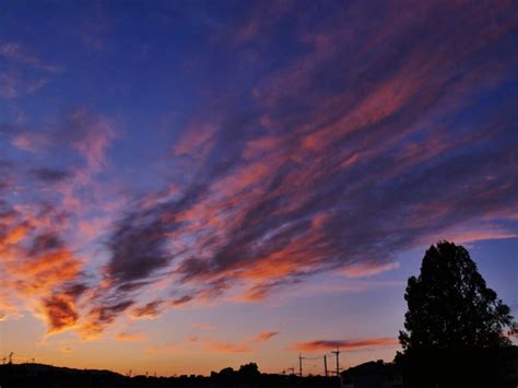 はばたく様に夕焼け雲が by 奈良のもぐちゃん ID 写真共有サイト PHOTOHITO