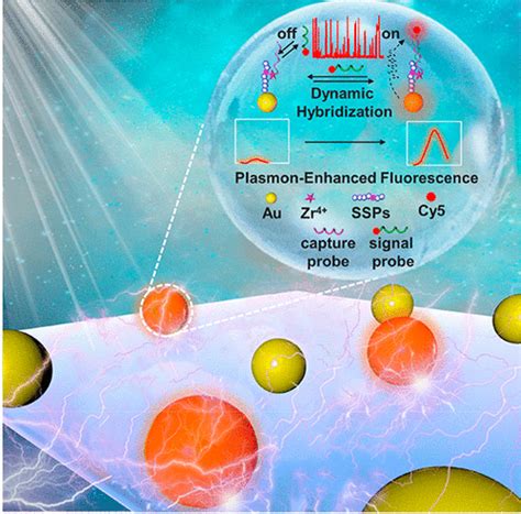 Nanoparticle Coupled Single Molecule Kinetic Fingerprinting For