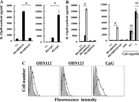 Effects Of Phosphorothioate Modification And Dotap On Bm Dc Production
