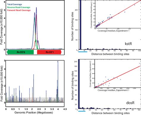 Example Chip Seq Results From M Tuberculosis A The Top Panel