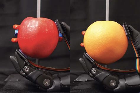 delicate robot hands know just how hard to squeeze new scientist