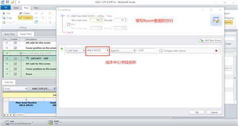 Winshuttle Studio If Csdn
