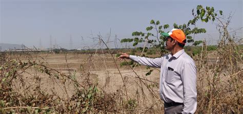 Thane Ngo Writes To Pm Modi To Conserve Wetlands In India Says No