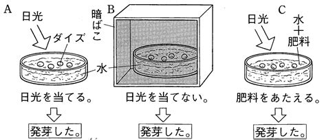 【理科のコツ】発芽や成長の条件 中学受験 理科の個別指導 受験理科専門塾「しゅん吉クエスト」