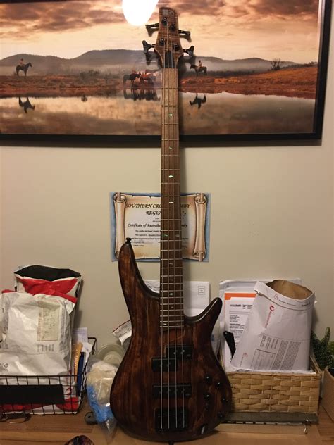 My Gear Gear Bassbuzz Forum