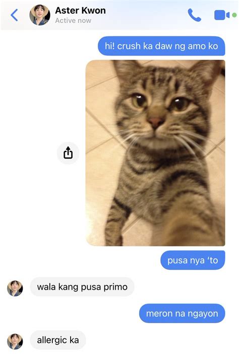 ً On Twitter Pusa Nya To