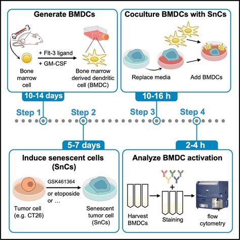Cell Press Star Protocols