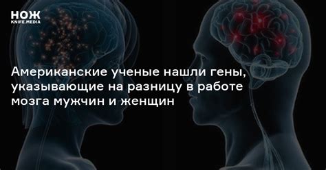 Американские ученые нашли гены, указывающие на разницу в работе мозга ...