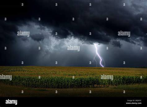 Lightning Over Corn Field Stock Photo Alamy