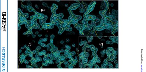 In A Is Seen A Central Portion Of One Of The Helices Comprising An Download Scientific