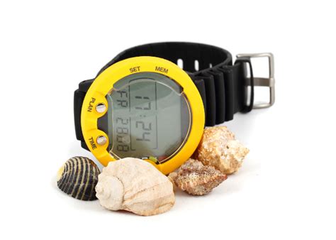 Which Dive Computer Is Right For You • Scuba Diver Life