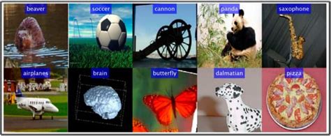 Sustainability Free Full Text A Sustainable Deep Learning Framework For Object Recognition