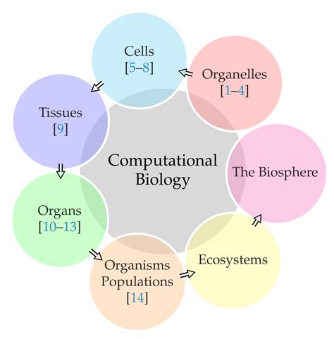 Computational Biology A New Frontier In Applied Biology