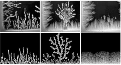Different Types Of Flux Pattern Morphology At Various Temperatures