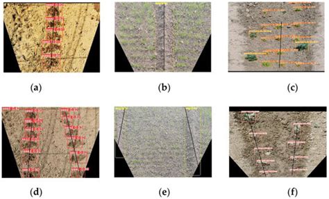 The Extraction Method Of Navigation Line For Cuttage And Film Covering