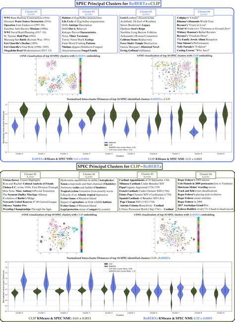 Spec Explainable Comparison And Alignment Of Feature Embeddings