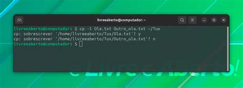 Como Copiar Arquivos E Diretórios No Terminal Linux