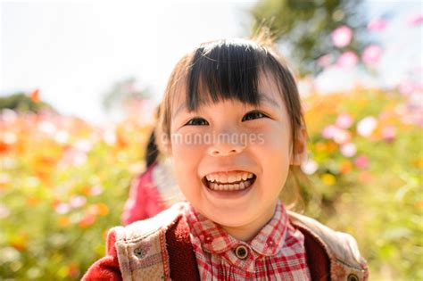コスモス畑で遊ぶ女の子の写真素材 Fyi01568103 ストックフォトの Qlean Market