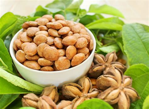 16 Unexpected Sources Of Plant Based Protein You Should Try
