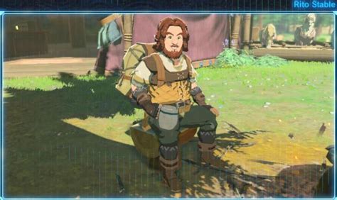 Capturing Hyrules Beauty Taking A Picture Of Each Npc Hylian