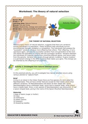 Free Printable Natural Selection Worksheets For Students