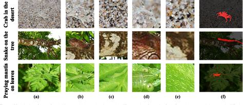 Figure 1 From Camouflaged Object Segmentation Based On Matching