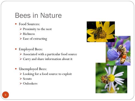 Ppt Artificial Bee Colony Algorithm Powerpoint Presentation Free