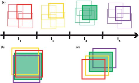 Figure From Cone Photoreceptor Reflectance Variation In The Northern Tree Shrew And Thirteen