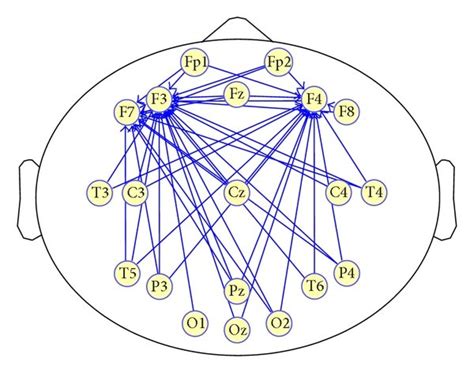 Cortical Functional Connectivity In The Aspect Of Pdc Causal