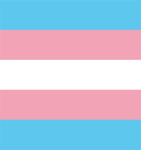 Gay Pride Flags Trans Folk Vserabites