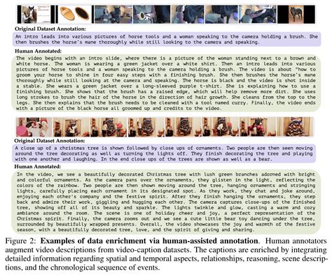 Video Chatgpt Towards Detailed Video Understanding Via Large Vision And Language Models Qiang