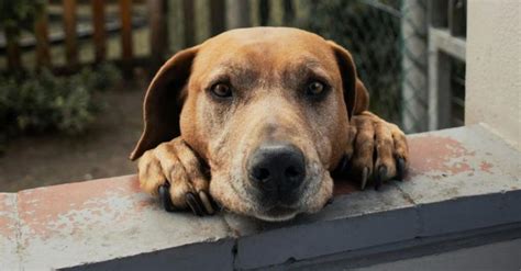 Gary Lewandowski On Linkedin Rekindling Former Flames Should You Take Back Your Ex