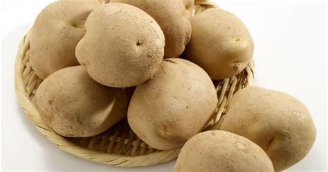 가을 감자 맛보기 어렵겠네 작년보다 비싸진다