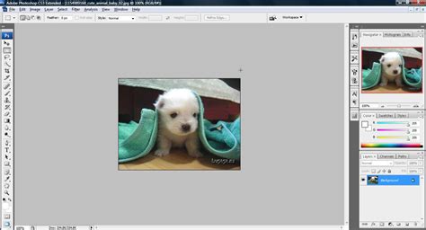 Tutorial How To Create A Curved Border Hungred Dot Com