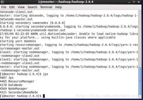 Linux下的hadoop配置 Sbinstart Allsh Datanode守护进程启动失败 解决方案为什么切进sbin中无法