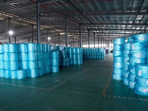 Biodegradable Plastic Bag Custom Packaging Bag Supplier