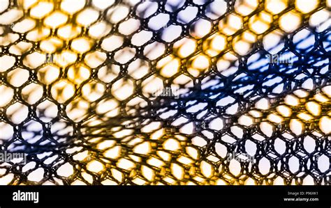 Abstract Texture Of Net With Hexagonal Cells Artistic Detail Of The