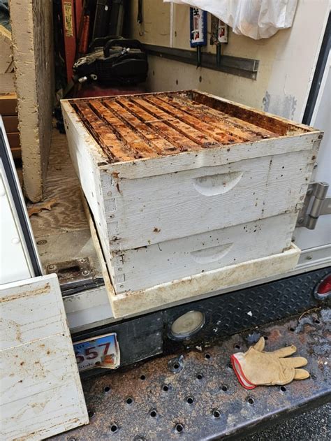 Would You Eat 20 Year Old Honey Rbeekeeping
