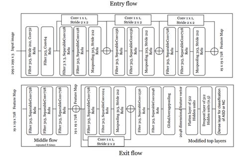Modified Xception Model Structure Number Of Layers Height Width And