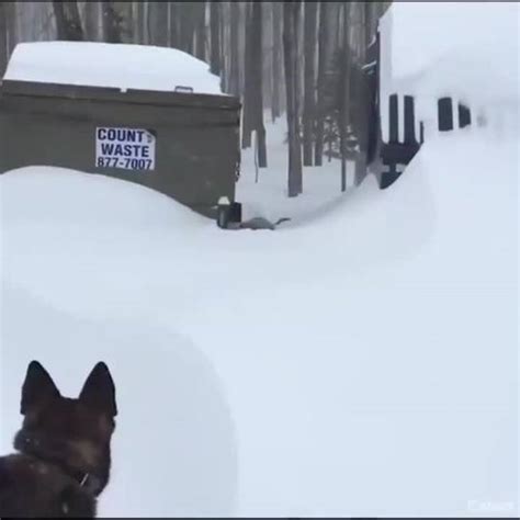 Snow Bro Scrolller