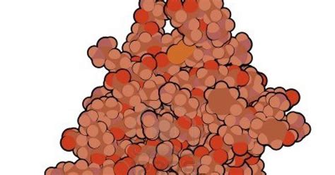 FUSSIONANDO EL MUNDO Eritropoyetina