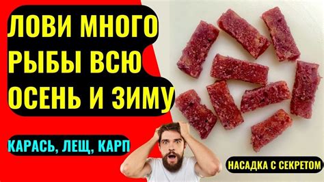 Насадка для рыбалки на КАРАСЯ КАРПА ЛЕЩА Насадка которая привлекает